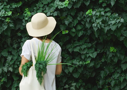 Industry players come together for Circular Fashion road map | Deda Group